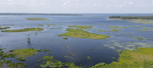 Orange Lake RV Resort