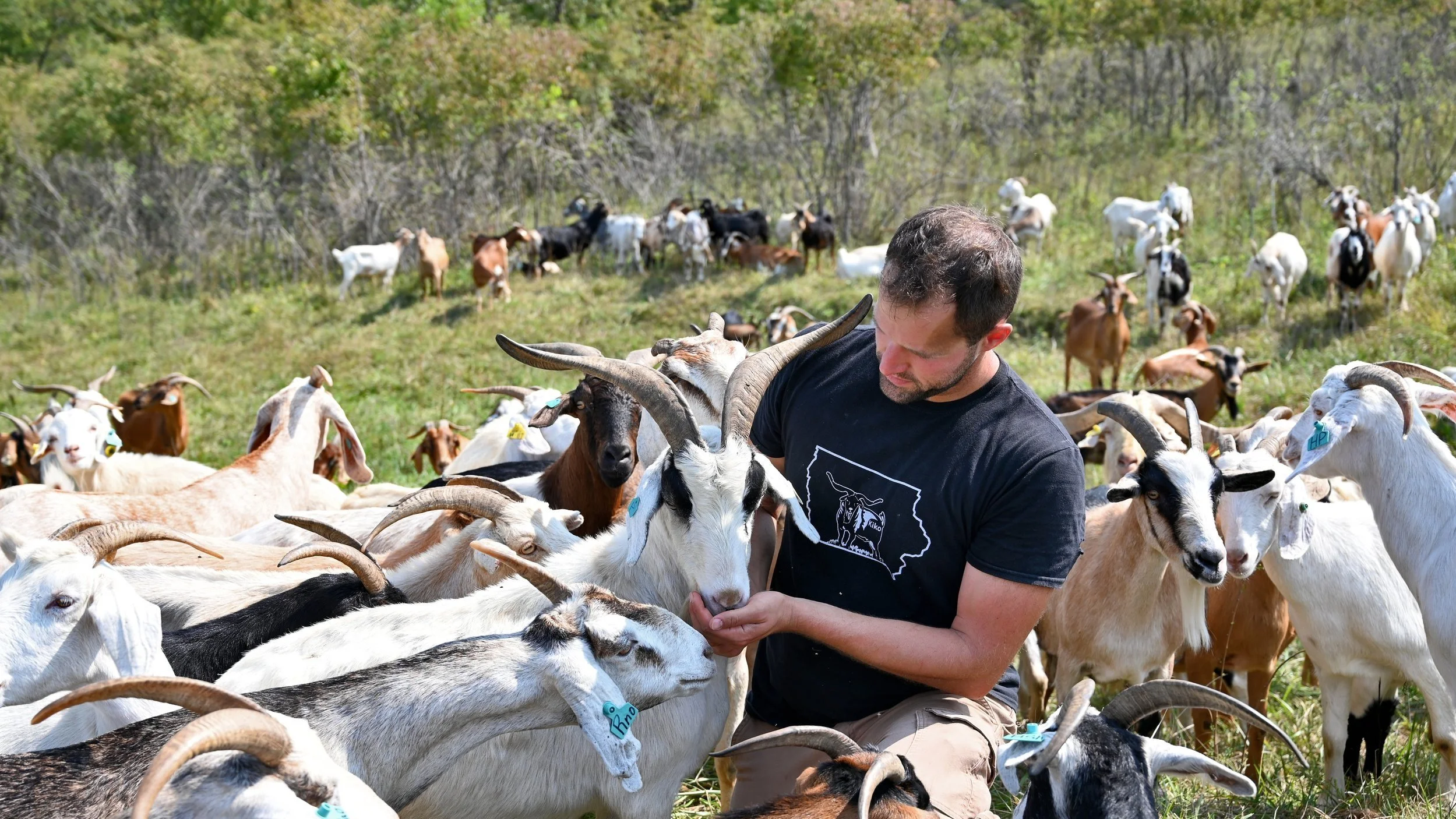 Iowa Food System Coalition