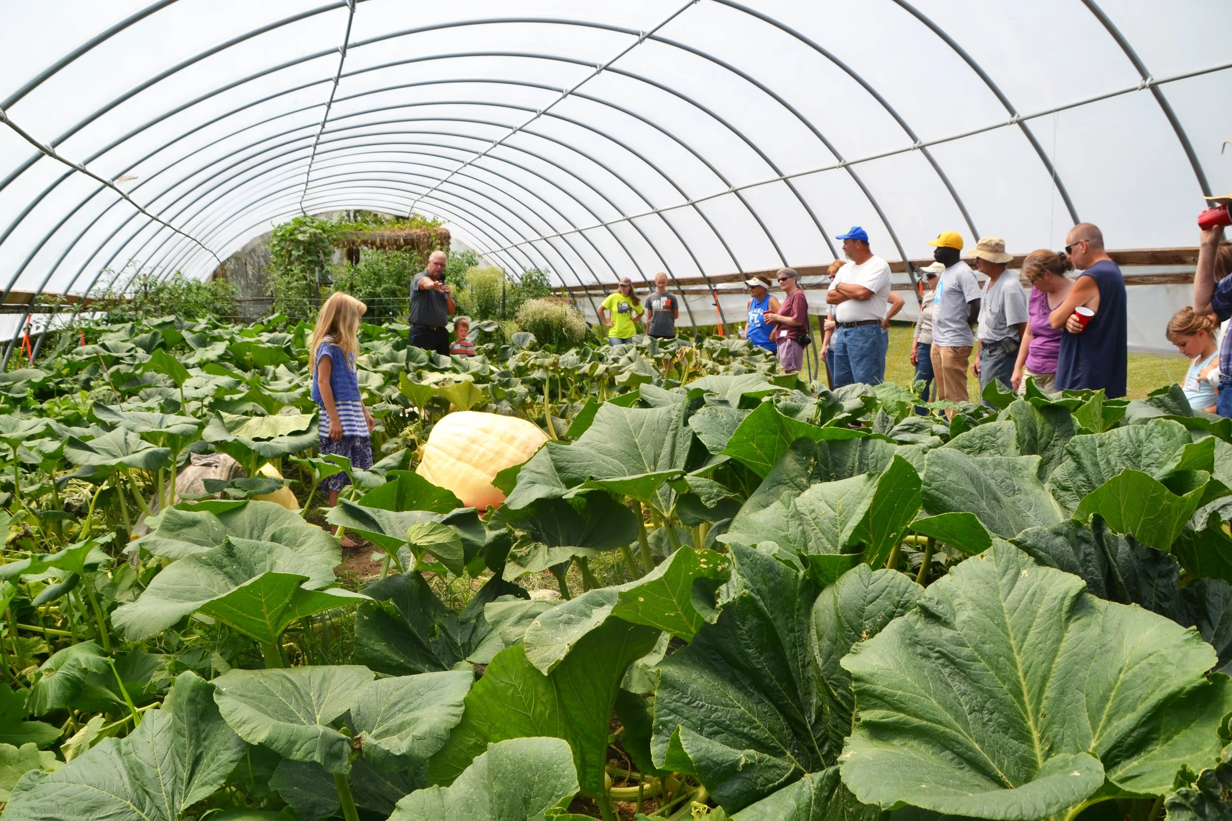 Iowa Food System Coalition