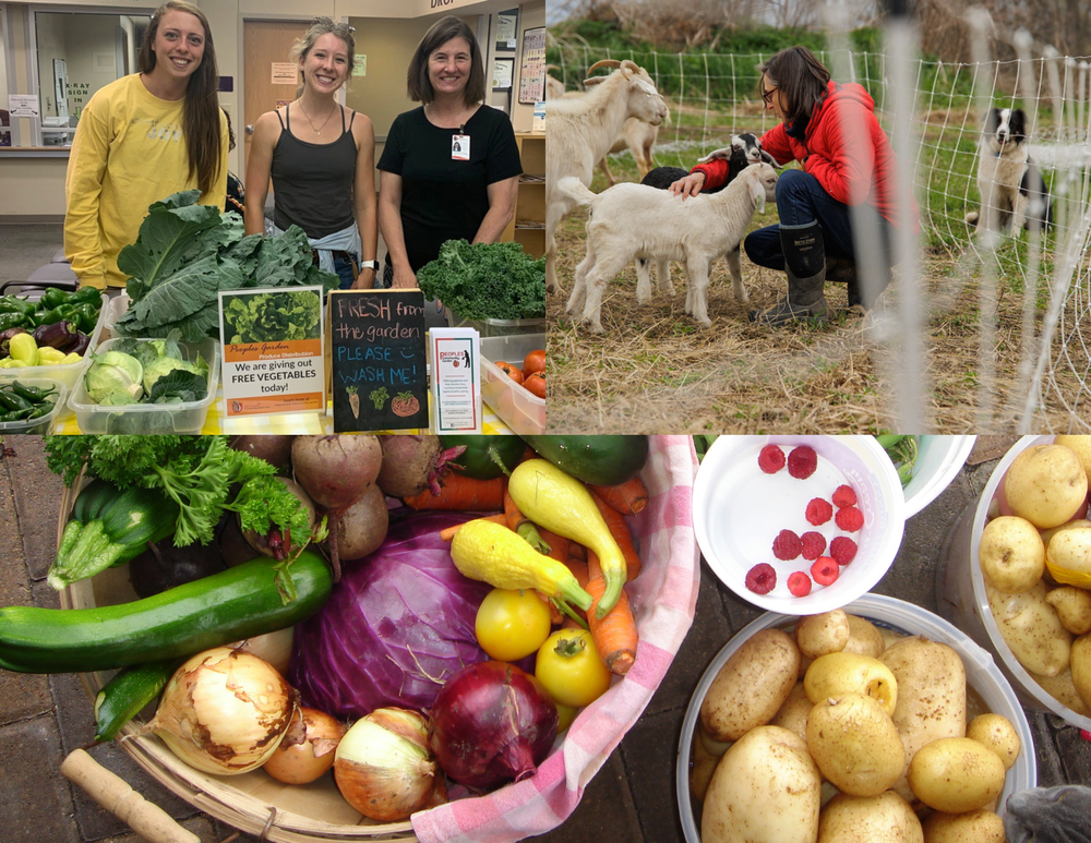 General 3 — Iowa Food System Coalition