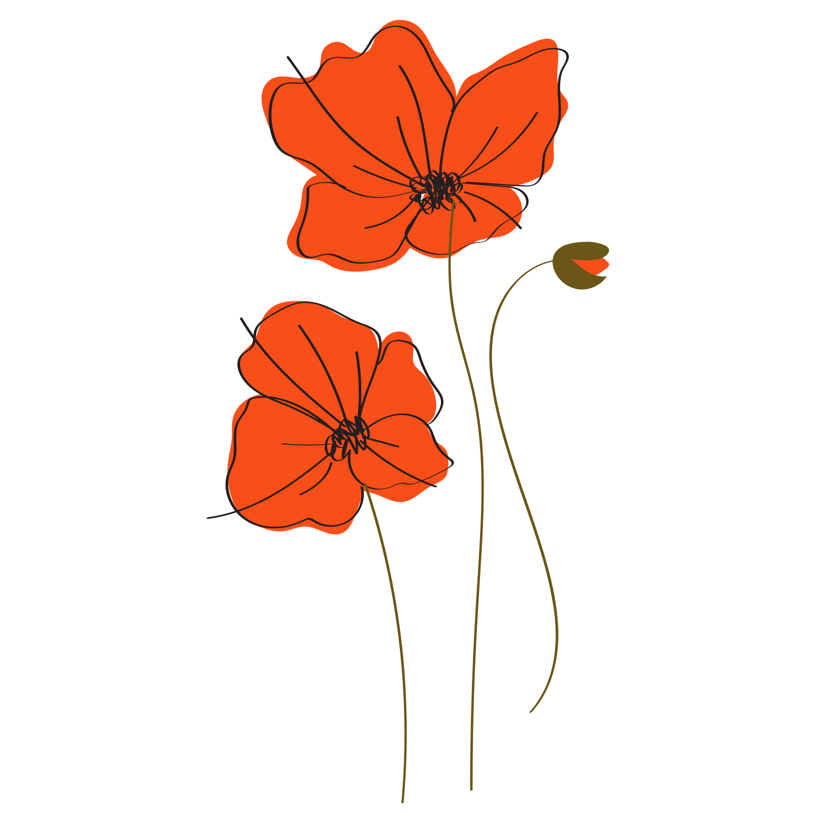 About | Build Your Dream Today – Get Started — Ascend Homes