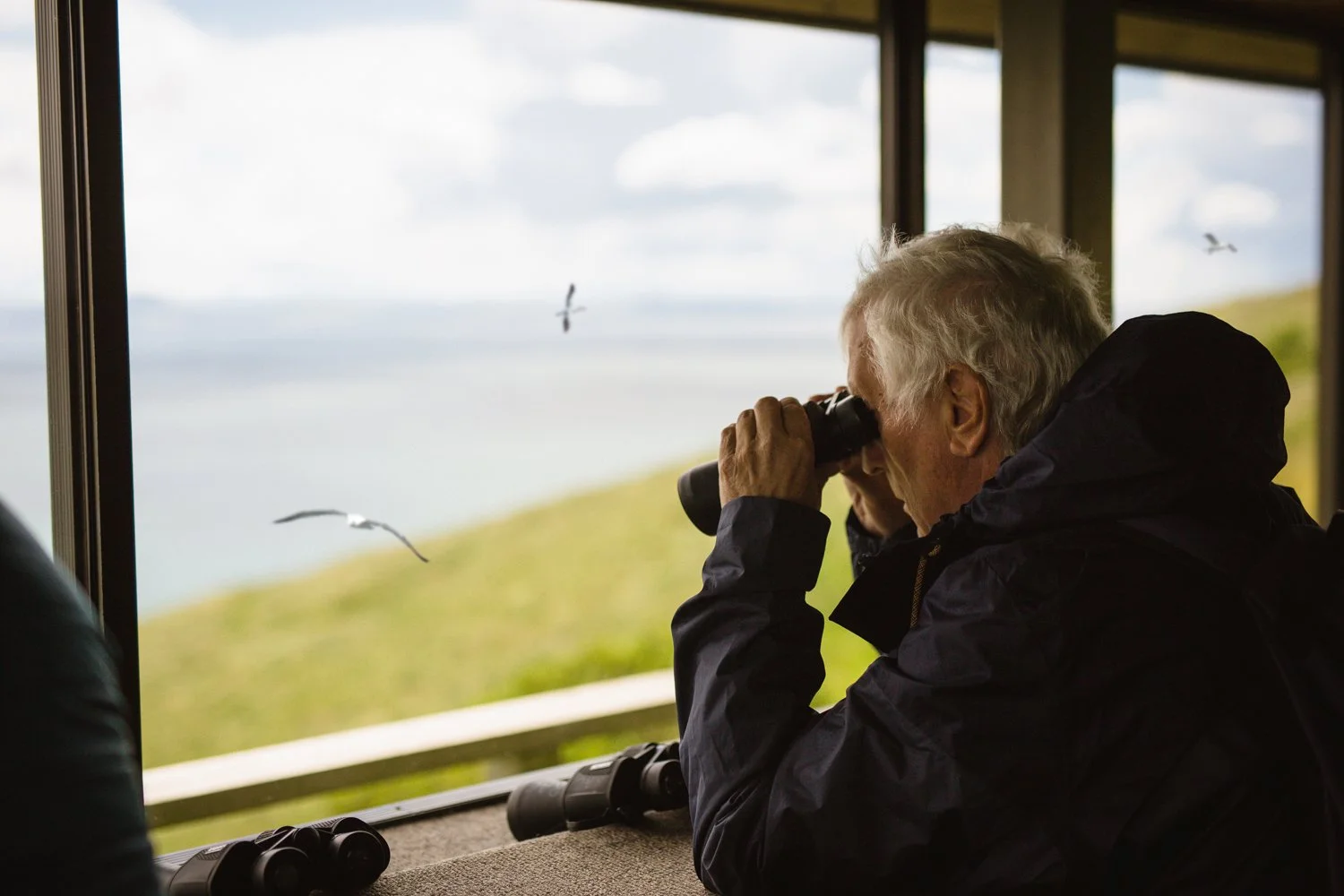 Peninsula Encounters + Albatross Tour — Monarch Wildlife Cruises & Tours