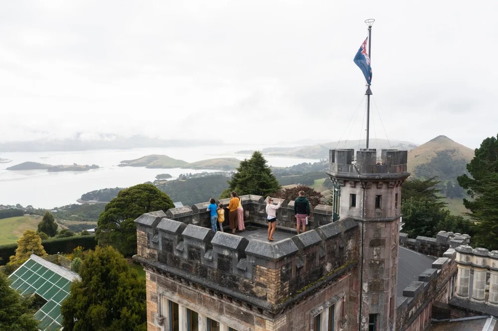 Castle to Cruise + Penguin Tour — Monarch Wildlife Cruises & Tours