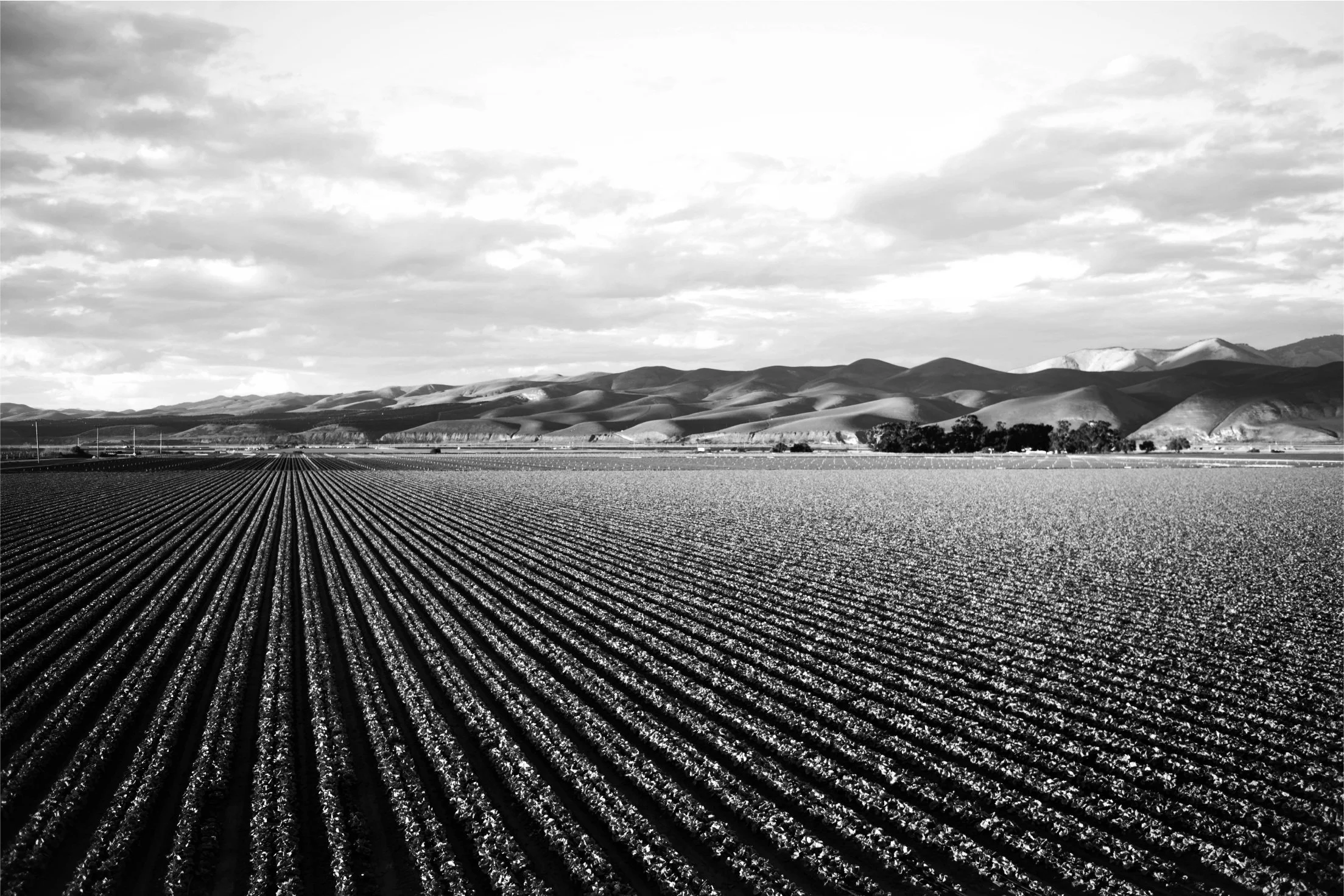 Crop Protection — Northern Crop Science