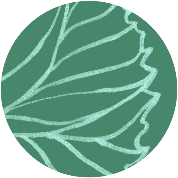 Home — DMD Consulting