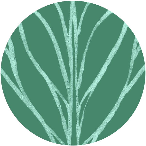 Home — DMD Consulting