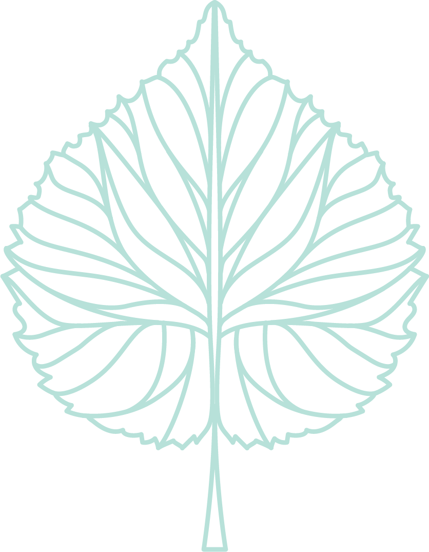 Our Team — DMD Consulting