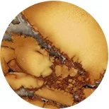 Richard III Coat of Arms — Greenaway Mosaics