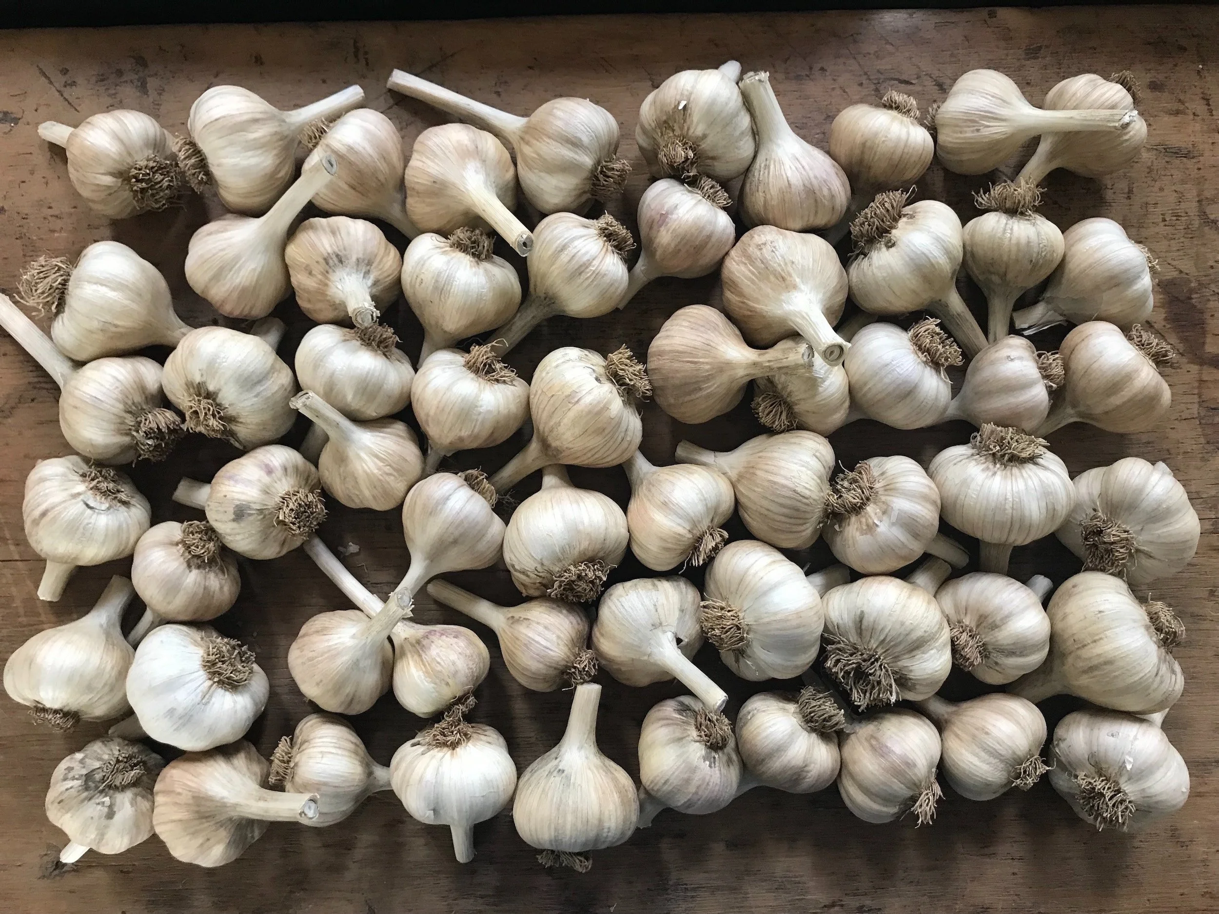 What's On — Chew Kitchen