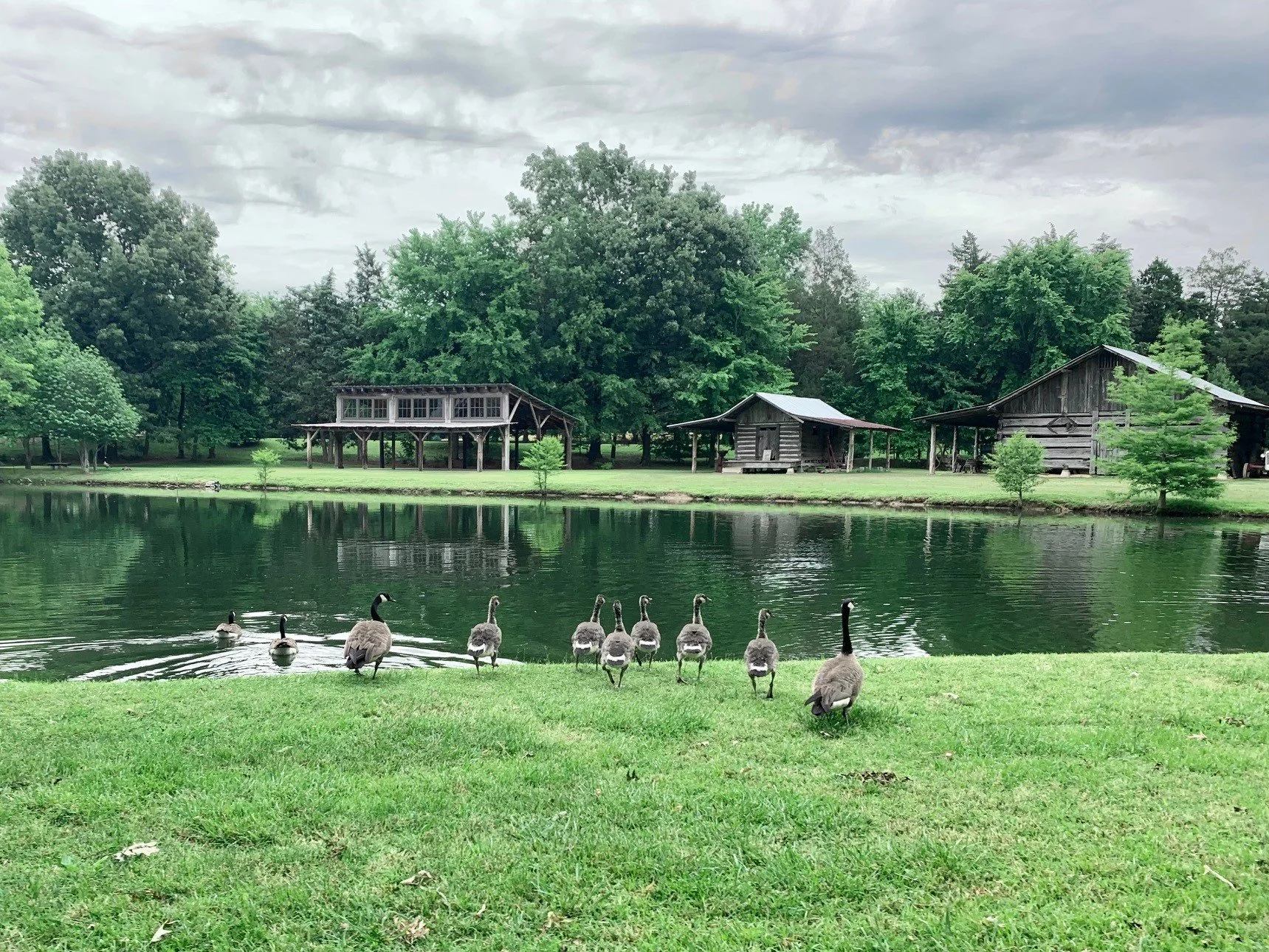 FAQ — Green Frog Farm Cabins