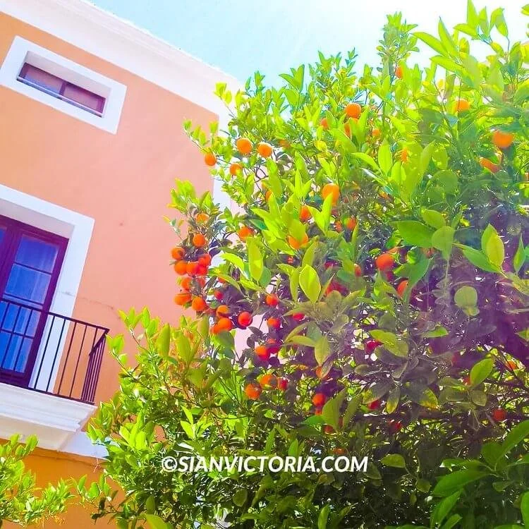 Sightseeing at Old Town of Ibiza - A UNESCO World Heritage Site — sian ...