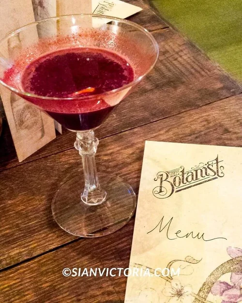The Botanist Review - Birmingham Restaurant & Cocktail Bar — sian victoria
