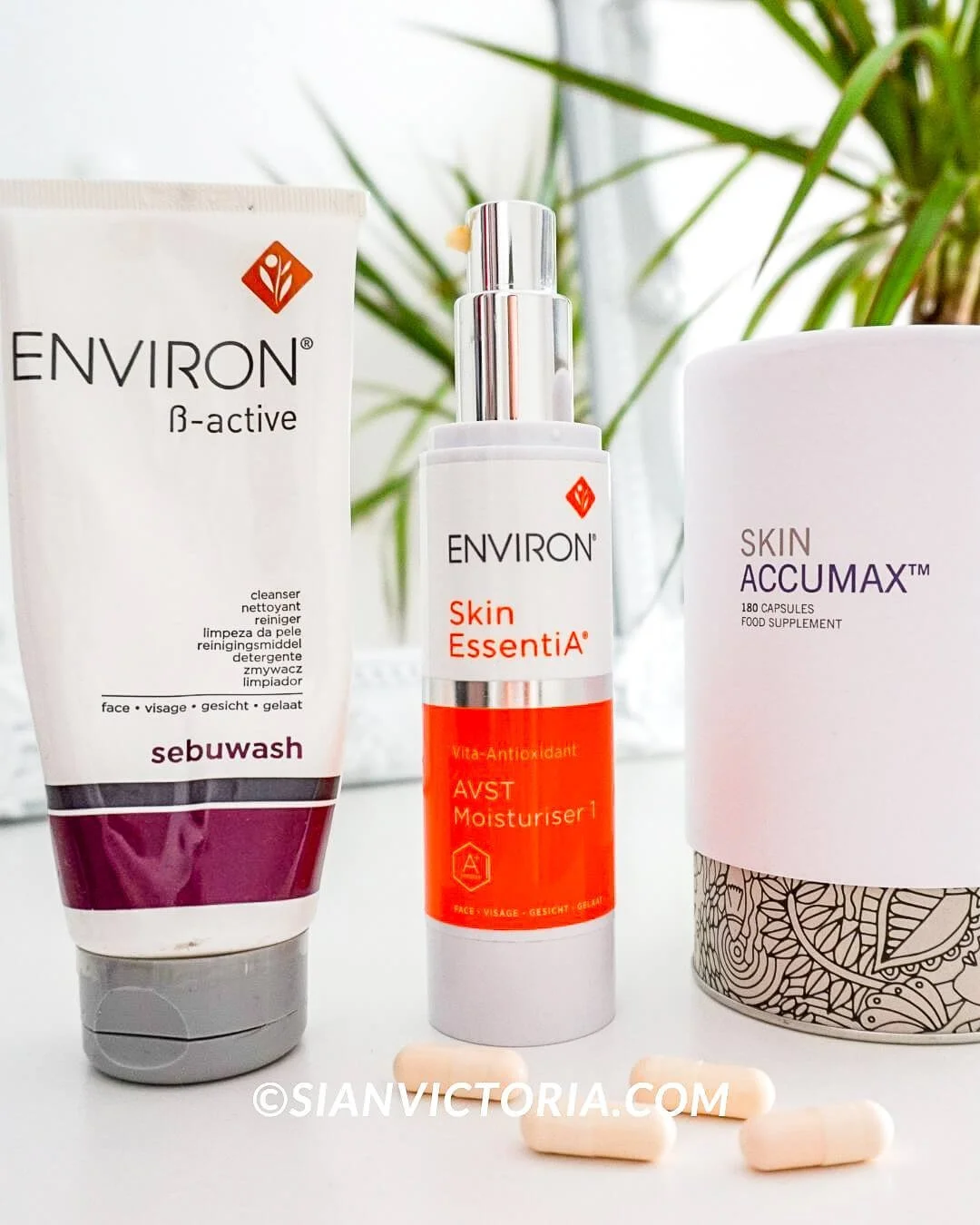 Day 0 of #100DayReset Environ Skincare Challenge To Treat Acne — sian ...
