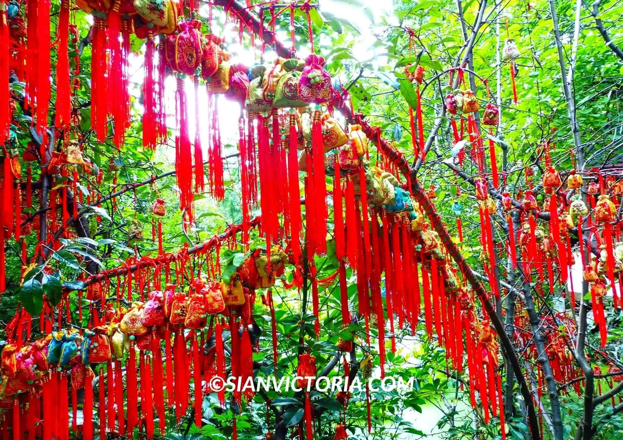 15 Best Cultural Things & Reasons to Visit Chengdu — sian victoria