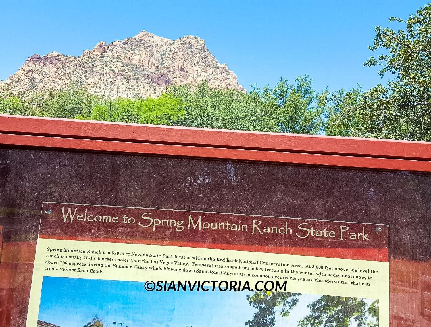 Guide to Visiting Spring Mountain Ranch State Park in Las Vegas — sian ...