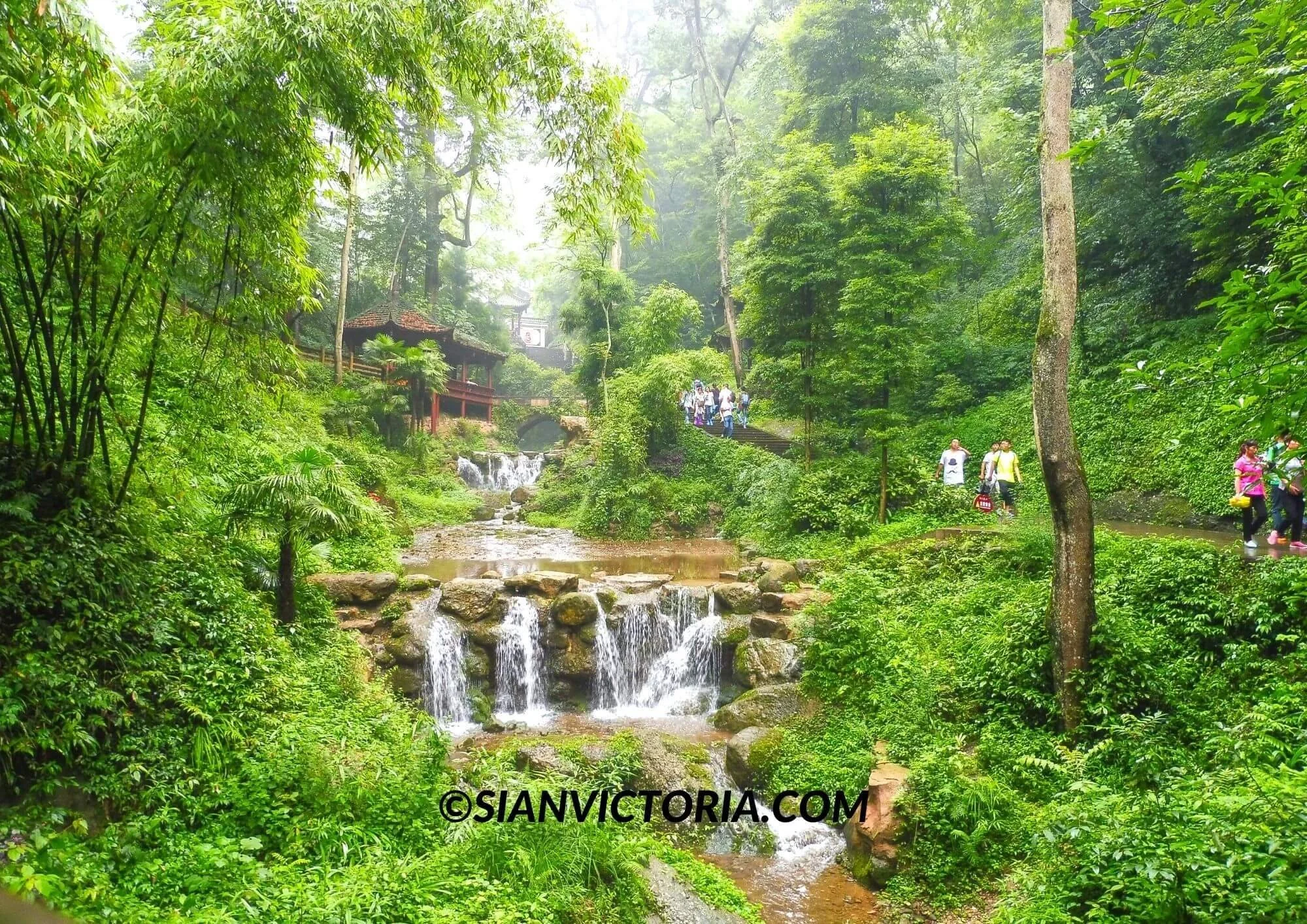 15 Best Cultural Things & Reasons to Visit Chengdu — sian victoria