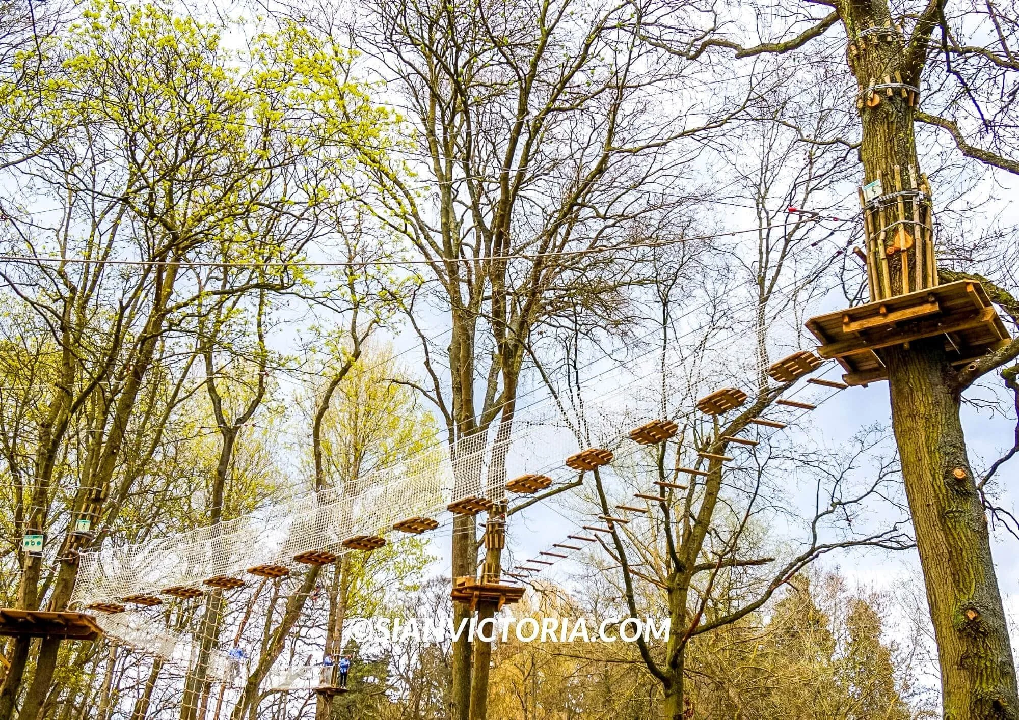 Go Ape - High Ropes Treetop Adventure in Coventry Review — sian victoria