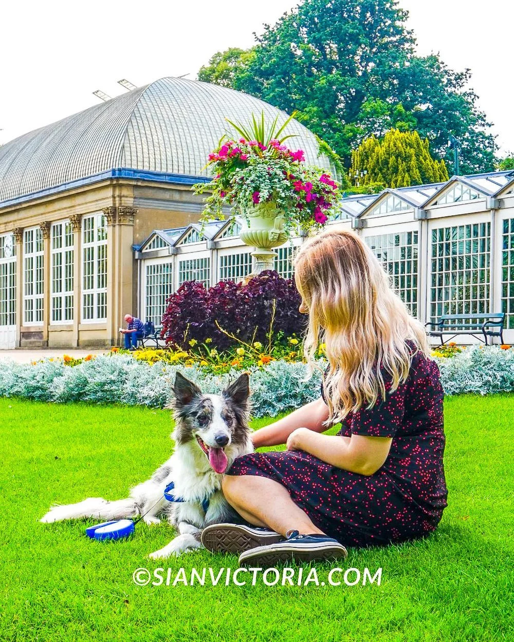 9 Best Things to Do in Sheffield – Sightseeing & Attractions — sian ...