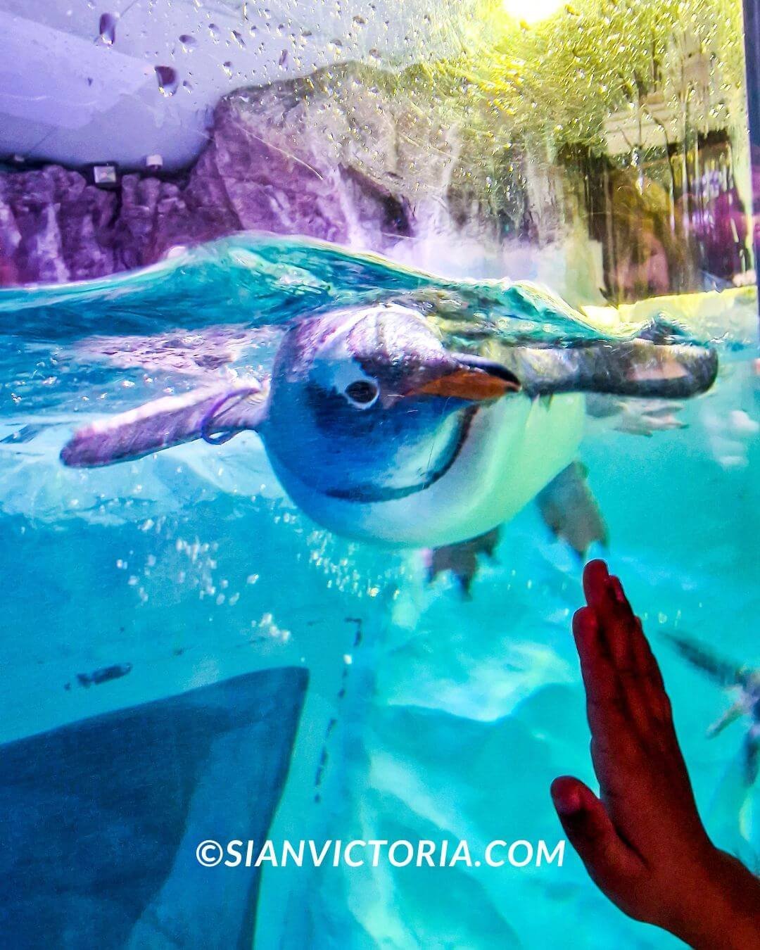 15 Best Fun Activity Places to go with Children in Birmingham — sian ...