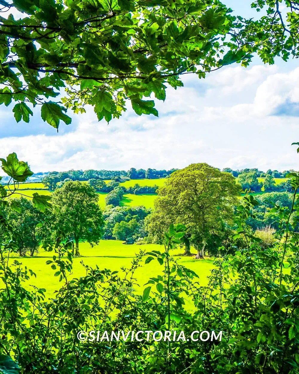 6 Best Places to Go for Summit Hike Views in West Midlands — sian victoria