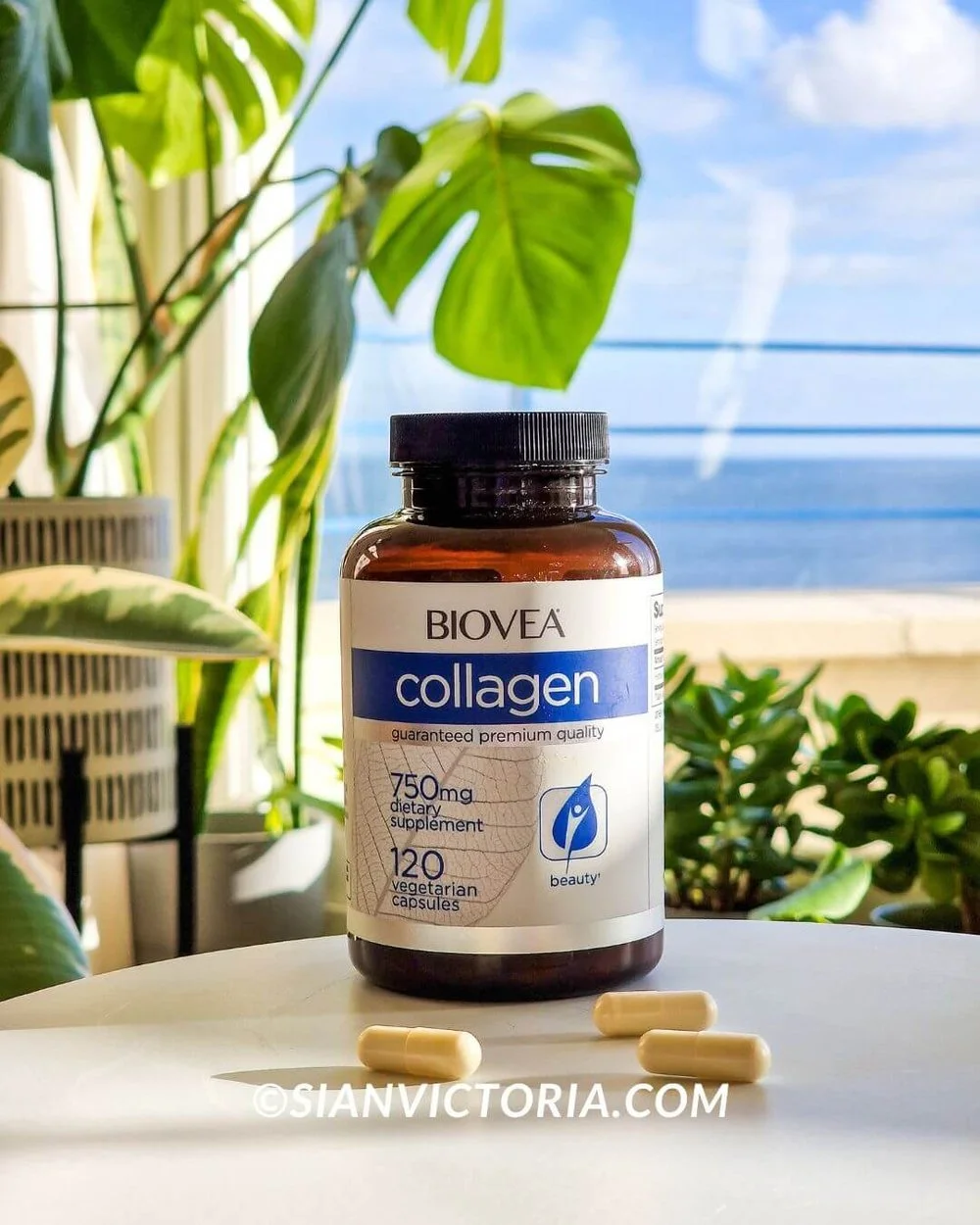 10 Benefits of Collagen and How to Include It in Your Diet — sian victoria