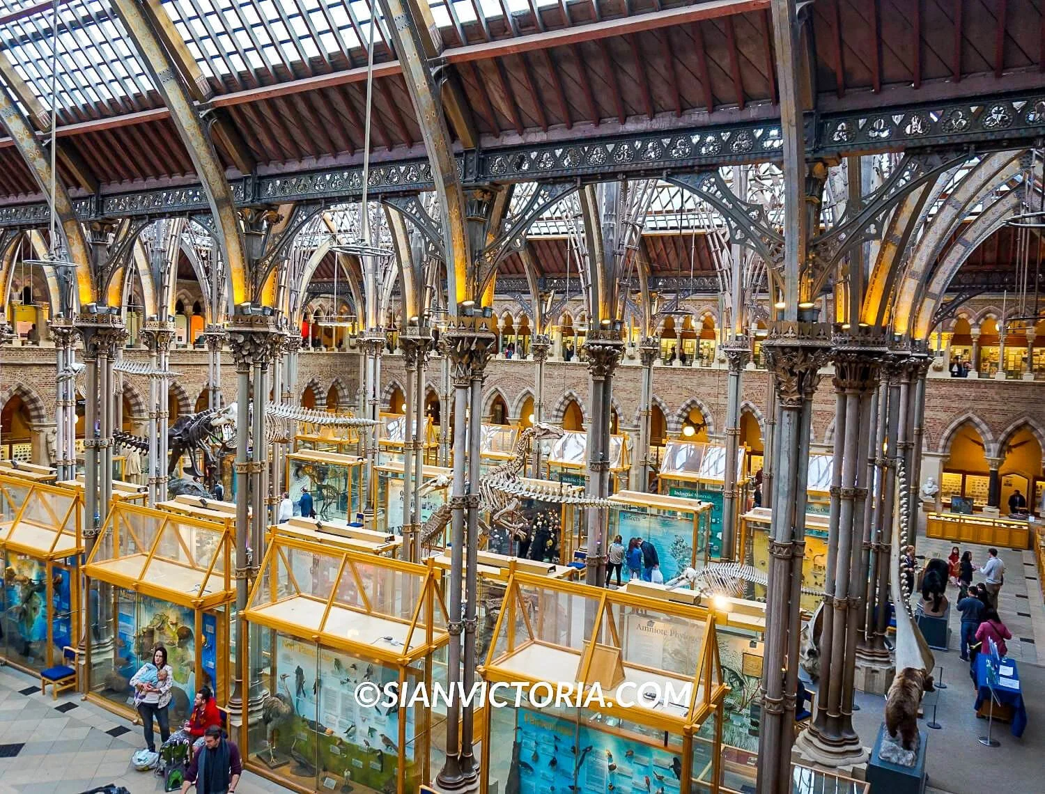 14 Best Things to do in Oxford – Sightseeing & Attractions — sian victoria