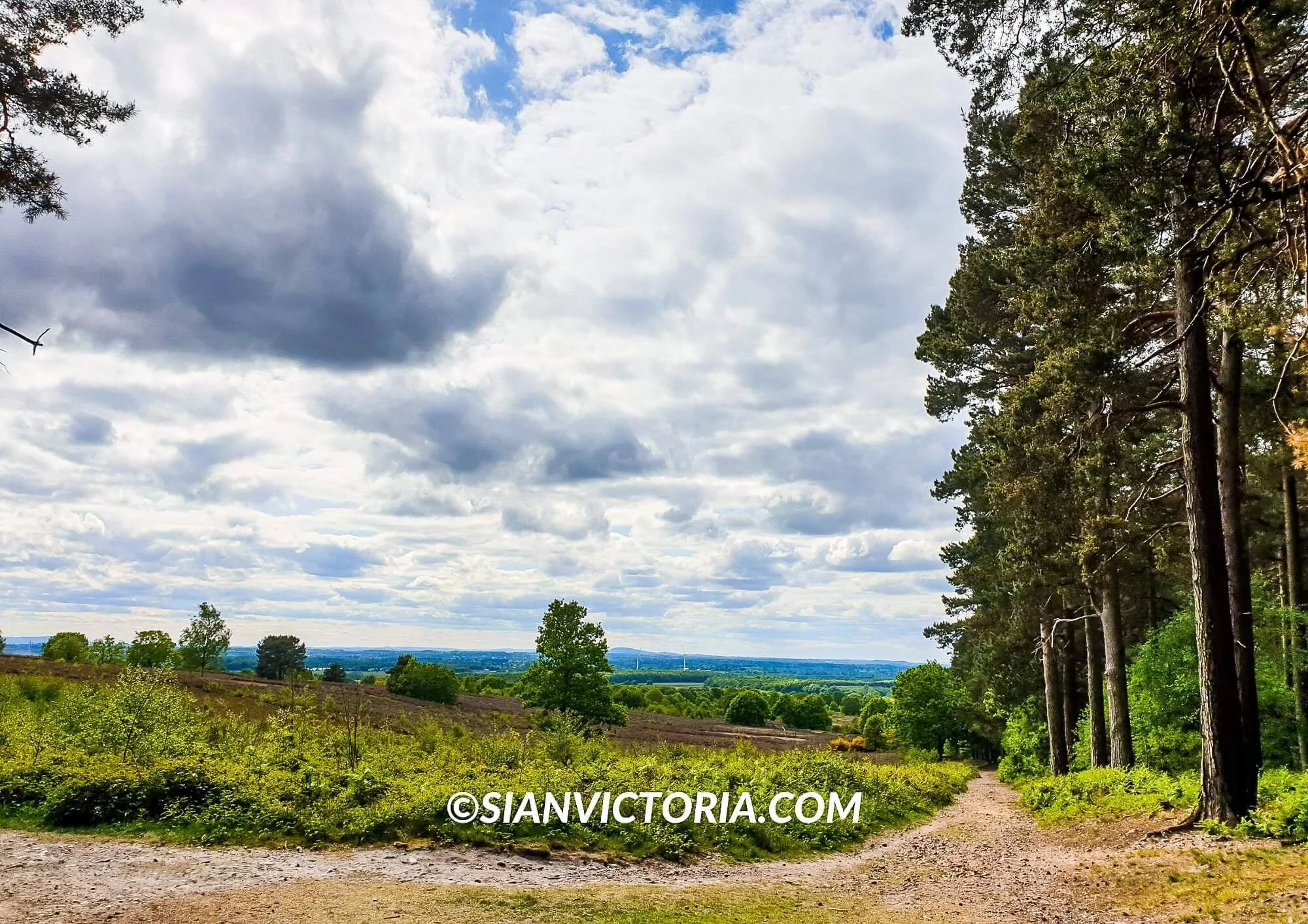 15 Best Walking Trails & Nature Reserves in Midlands — sian victoria