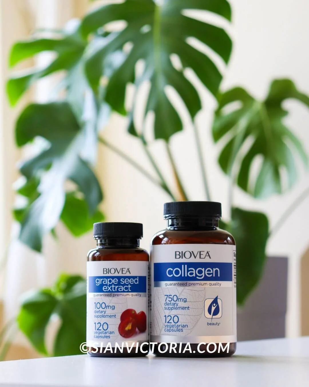 10 Benefits of Collagen and How to Include It in Your Diet — sian victoria