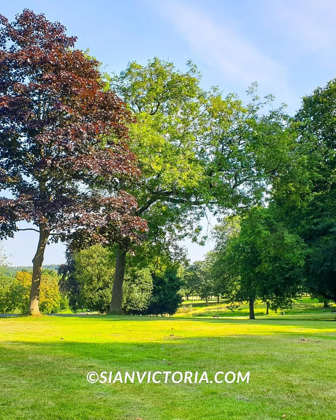 10 Tips for Perfect Grass and How to Solve Lawn Care Issues — sian victoria