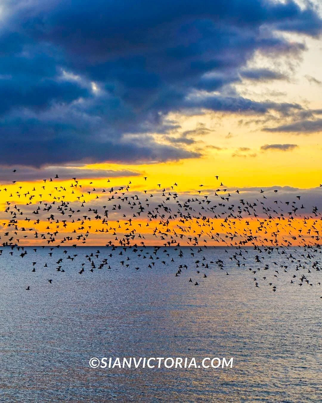 10 Thing’s to do & Reasons to Visit Brighton in Winter — sian victoria