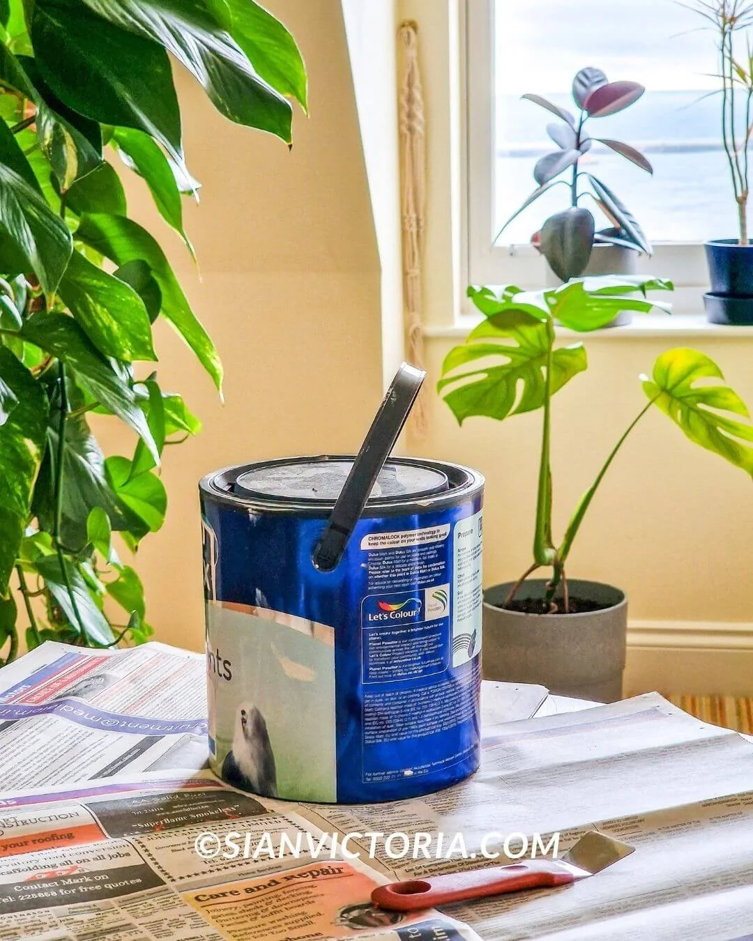 12 Ways to Add Bold Colours to Your Home Interior Design — sian victoria