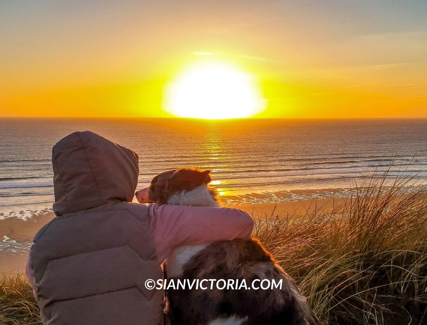 11 Top Sights in Cornwall - Best Attractions & Things To Do — sian victoria