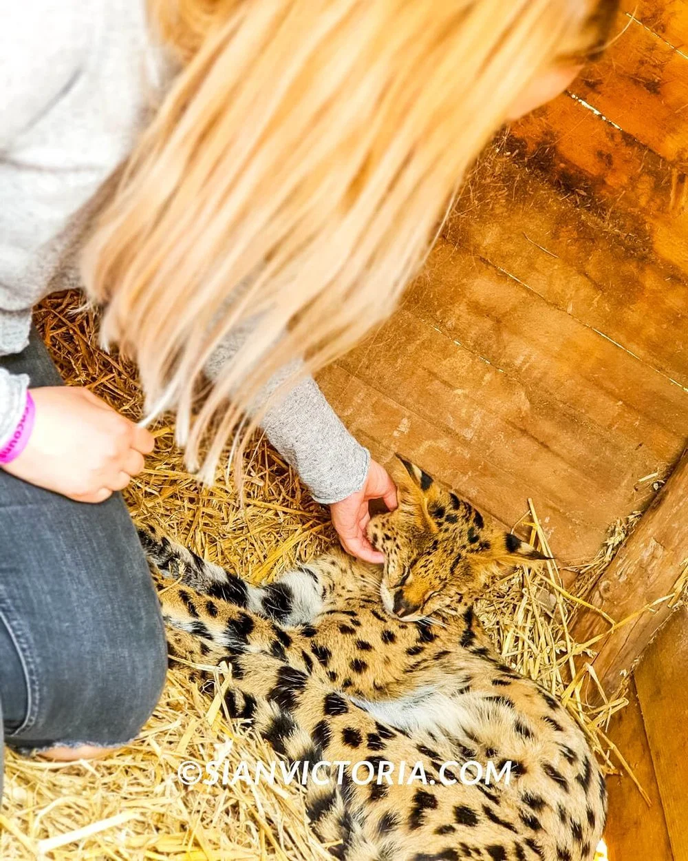 15 Best Fun Activity Places to go with Children in Birmingham — sian ...