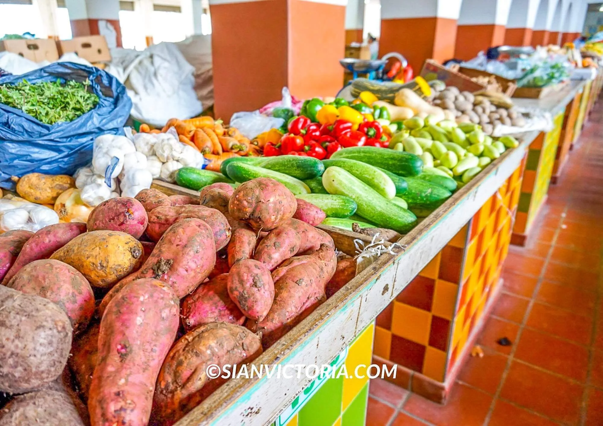 19 Best Cultural Things To Do & Reasons to visit Barbados — sian victoria