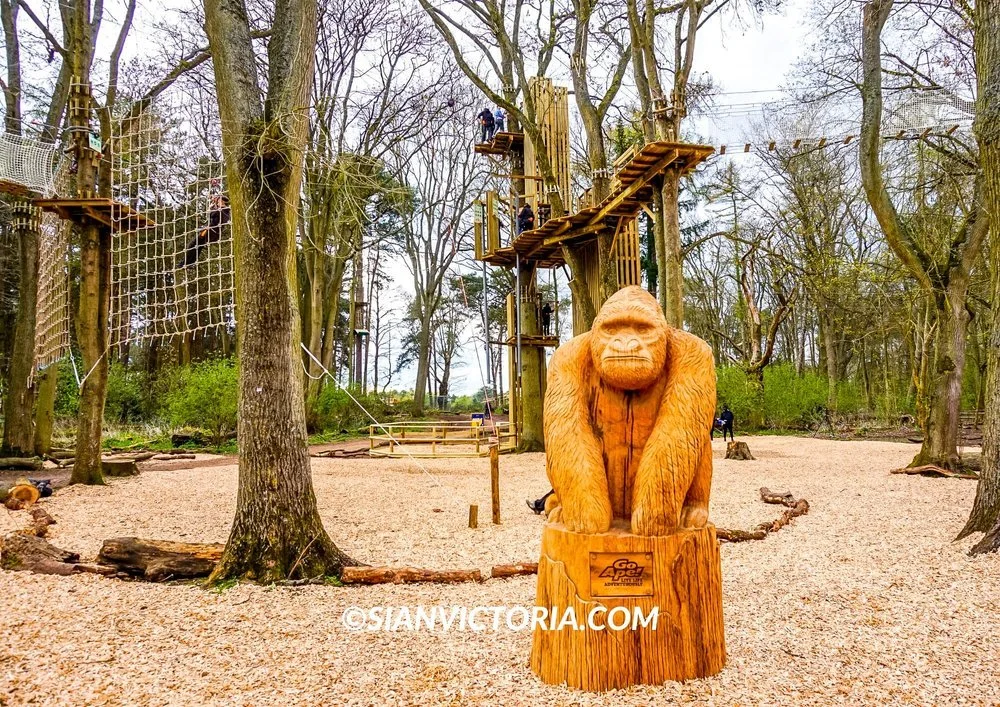 Go Ape - High Ropes Treetop Adventure in Coventry Review — sian victoria
