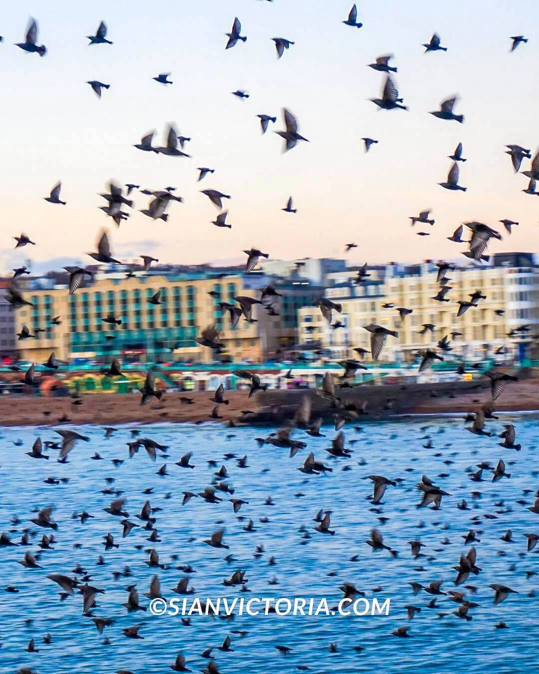 10 Thing’s to do & Reasons to Visit Brighton in Winter — sian victoria