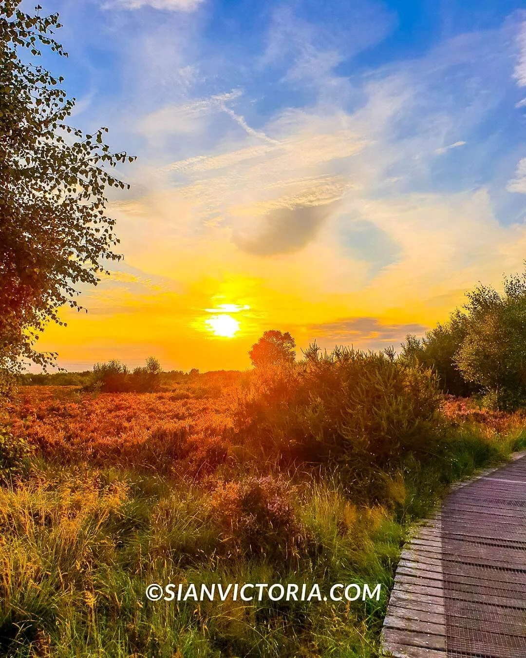15 Best Walking Trails & Nature Reserves in Midlands — sian victoria