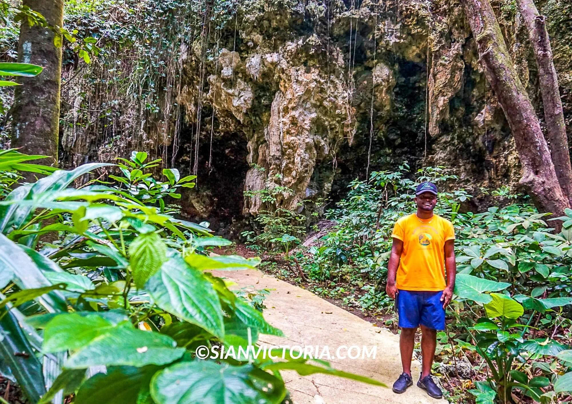 19 Best Cultural Things To Do & Reasons to visit Barbados — sian victoria