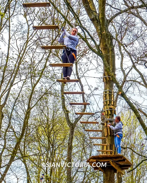 Go Ape - High Ropes Treetop Adventure in Coventry Review — sian victoria