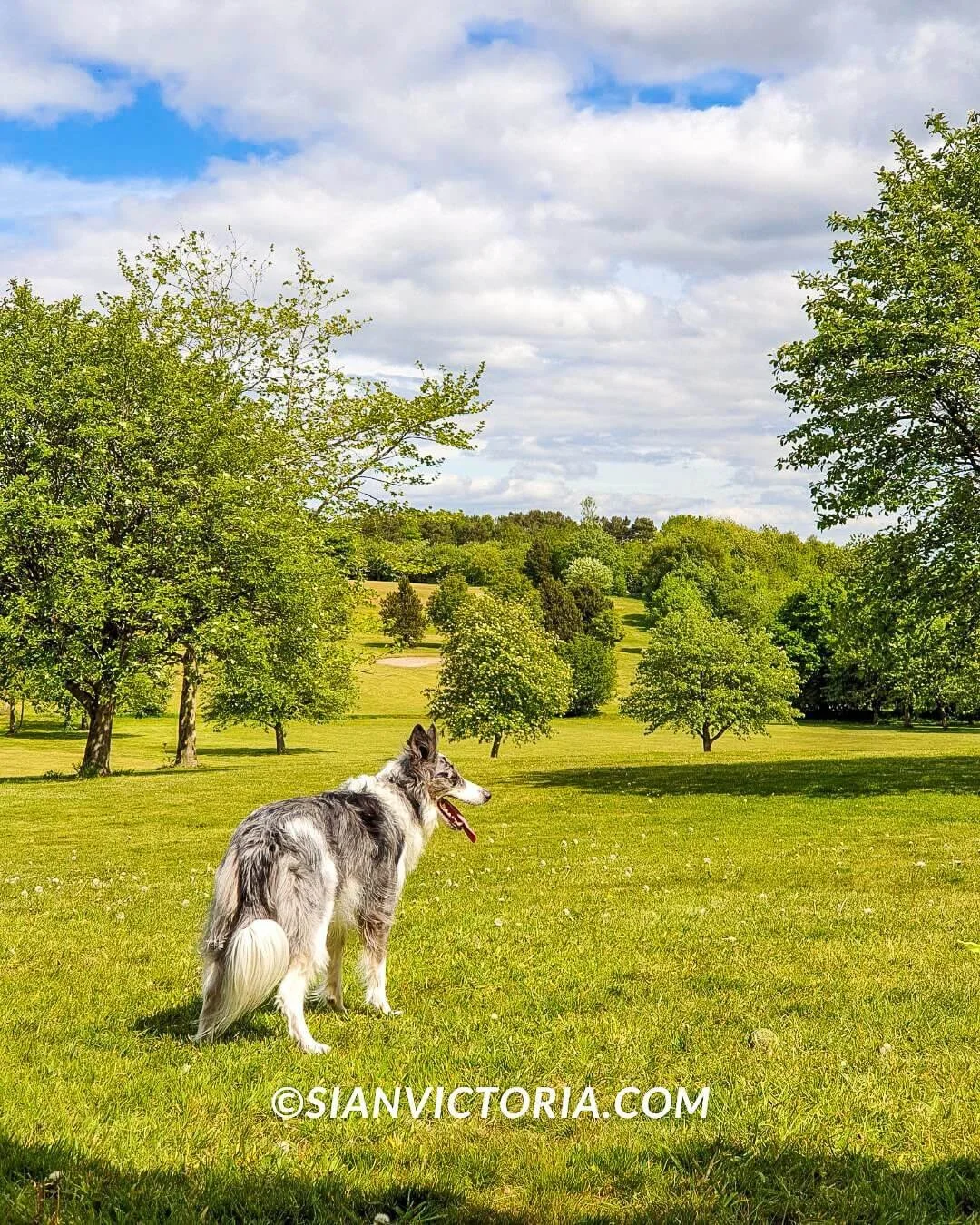 15 Best Walking Trails & Nature Reserves in Midlands — sian victoria