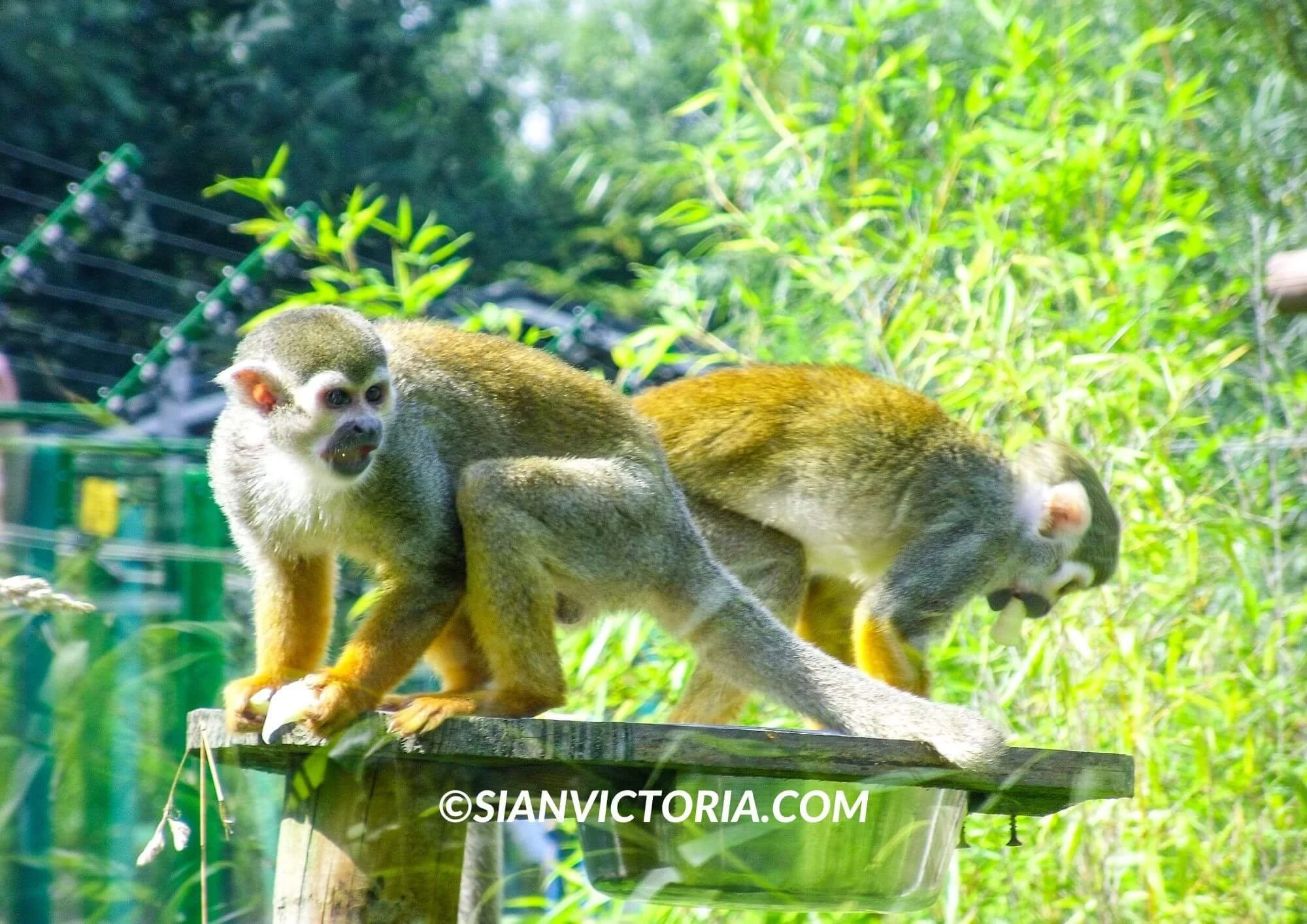 15 Best Fun Activity Places to go with Children in Birmingham — sian ...