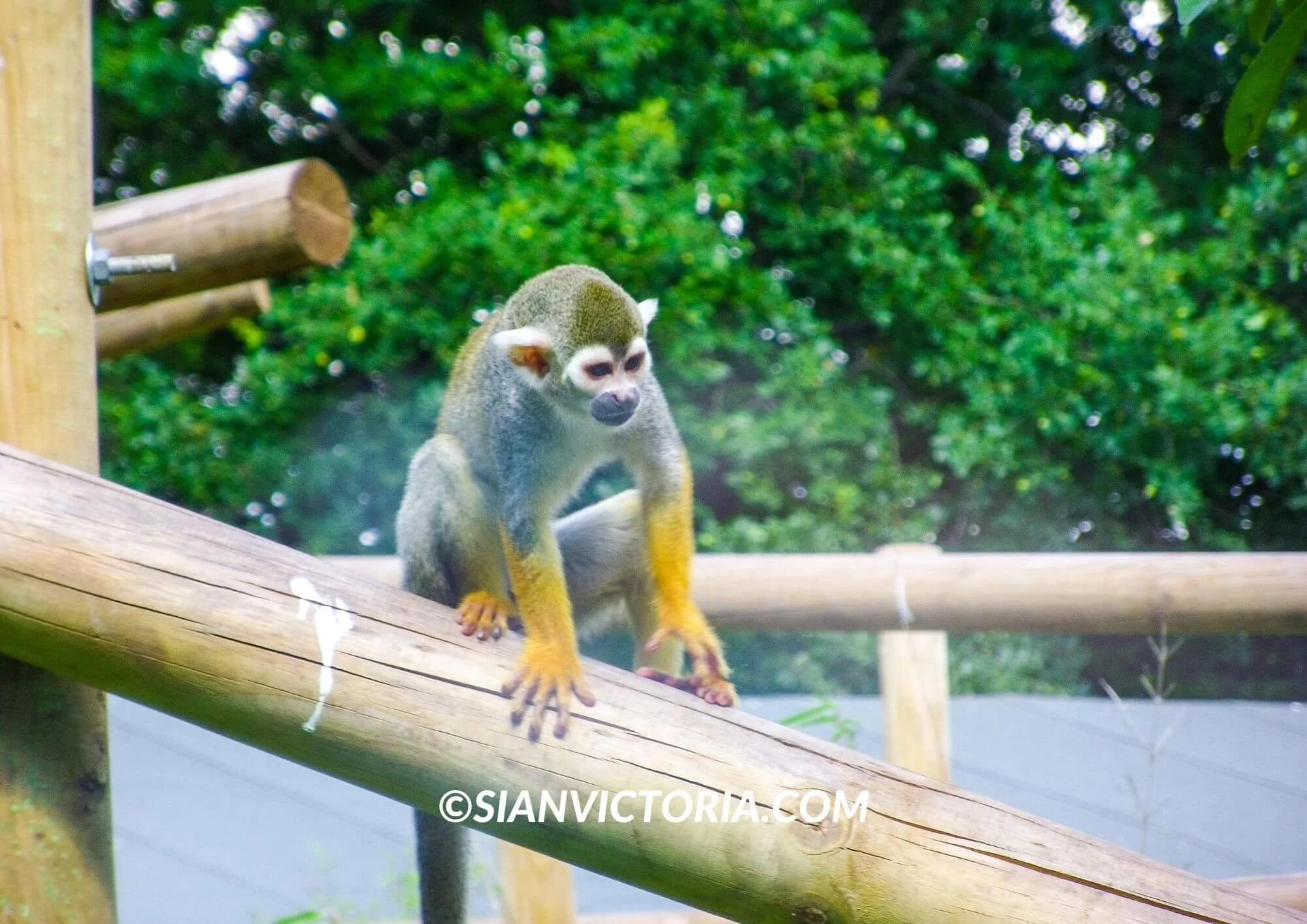 15 Best Fun Activity Places to go with Children in Birmingham — sian ...