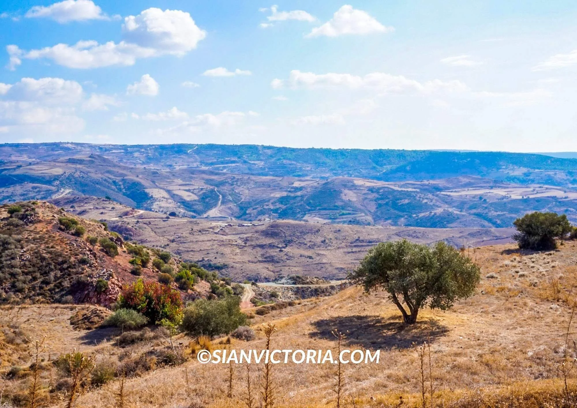 12 Cultural Thing's to See and Do in Paphos, Cyprus — sian victoria