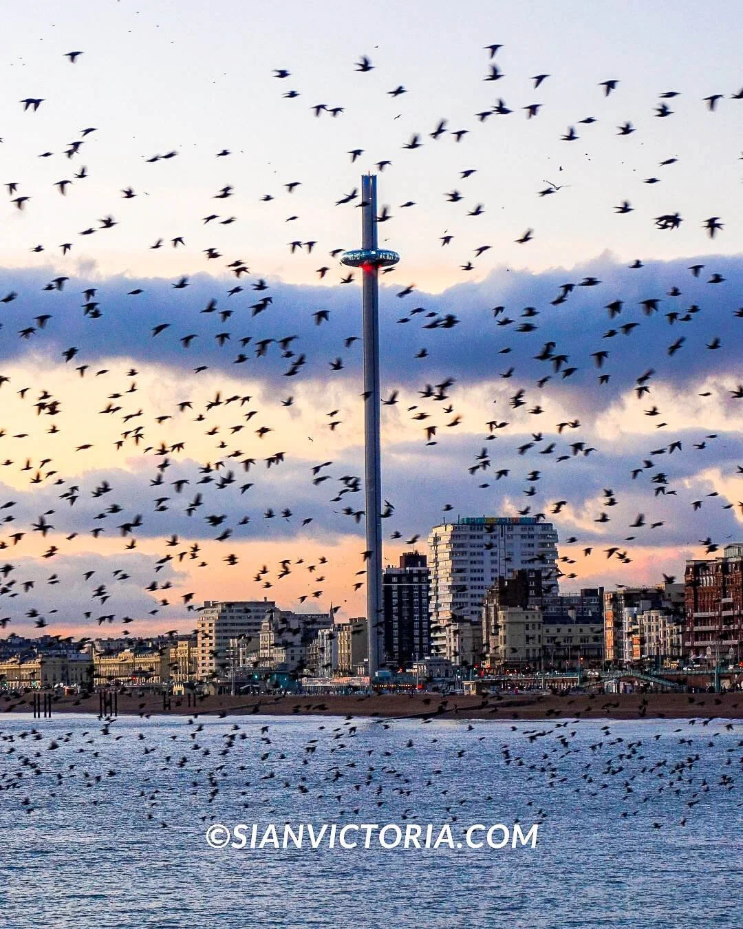 10 Thing’s to do & Reasons to Visit Brighton in Winter — sian victoria