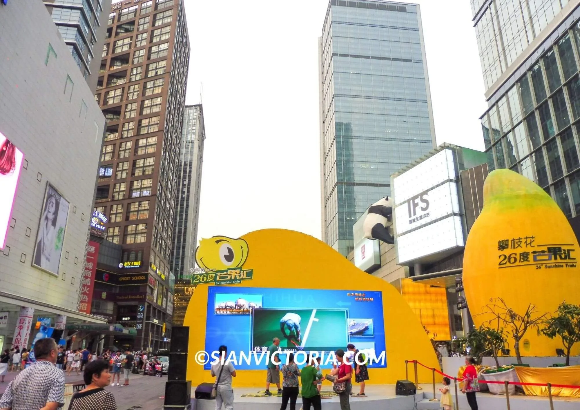 15 Best Cultural Things & Reasons to Visit Chengdu — sian victoria