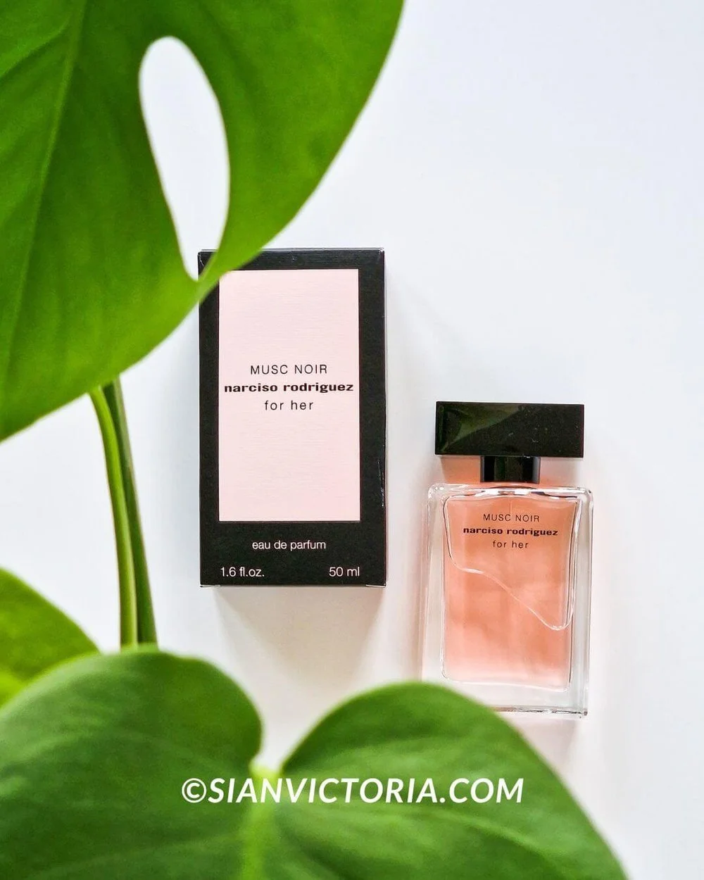 10 Top Perfumes in the World — 2025 Picks — sian victoria