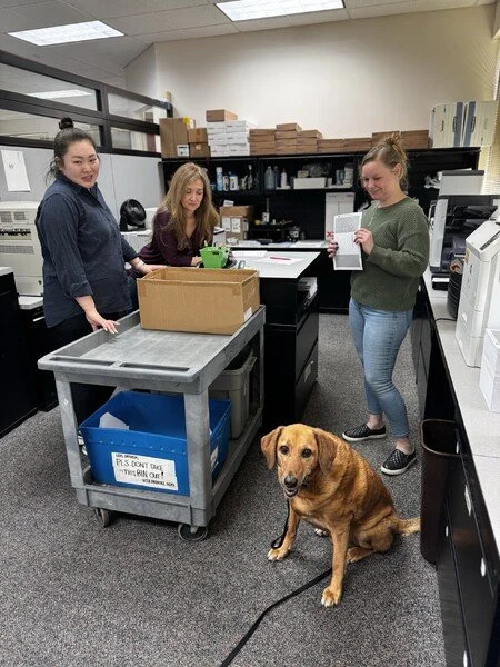 Life at Strongpoint | Explore Careers & Culture — Strongpoint Partners