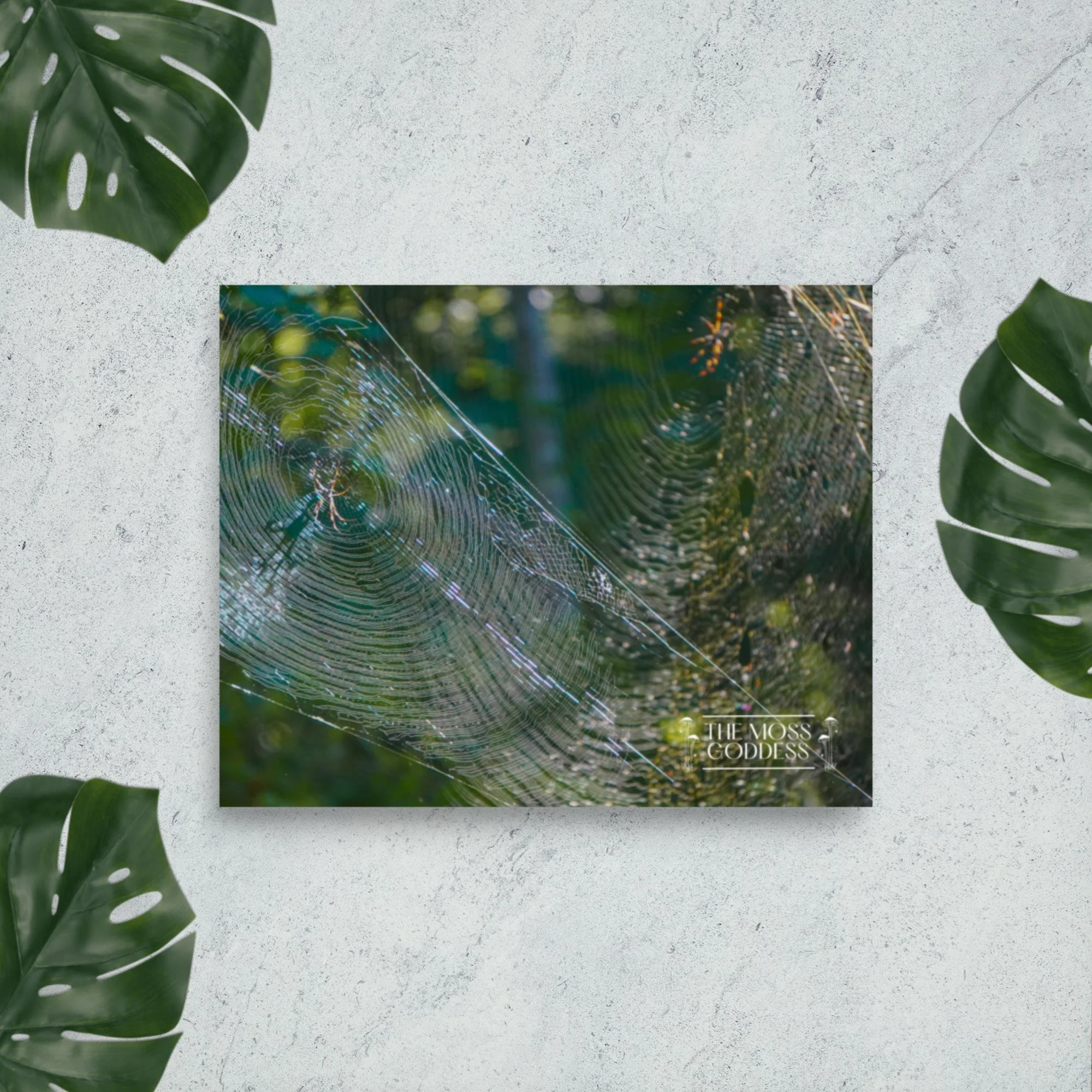 Spider Web Poster 8"x10" — The Moss Goddess
