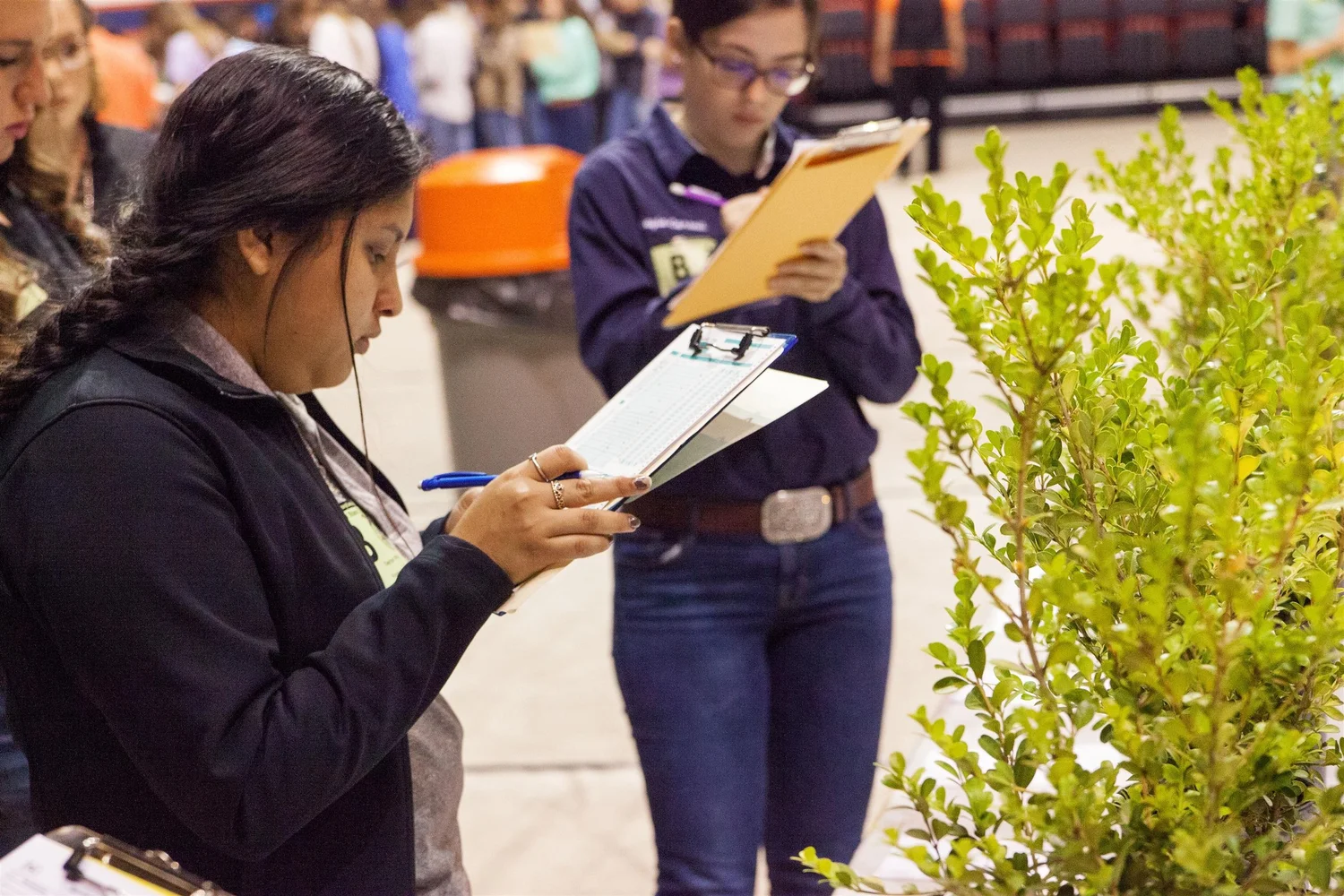 Contests — Area II FFA