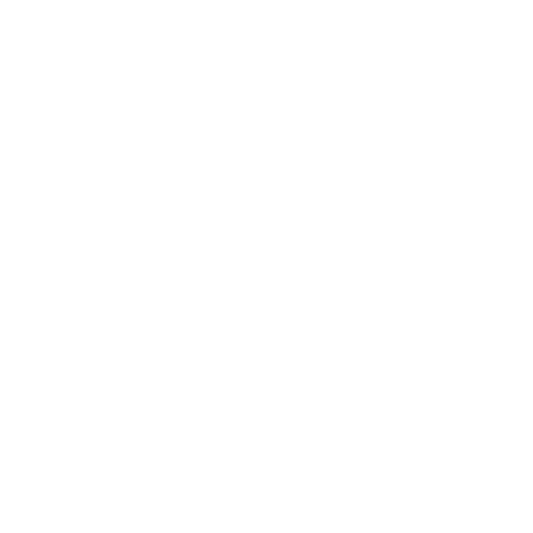 Codex Computer Services